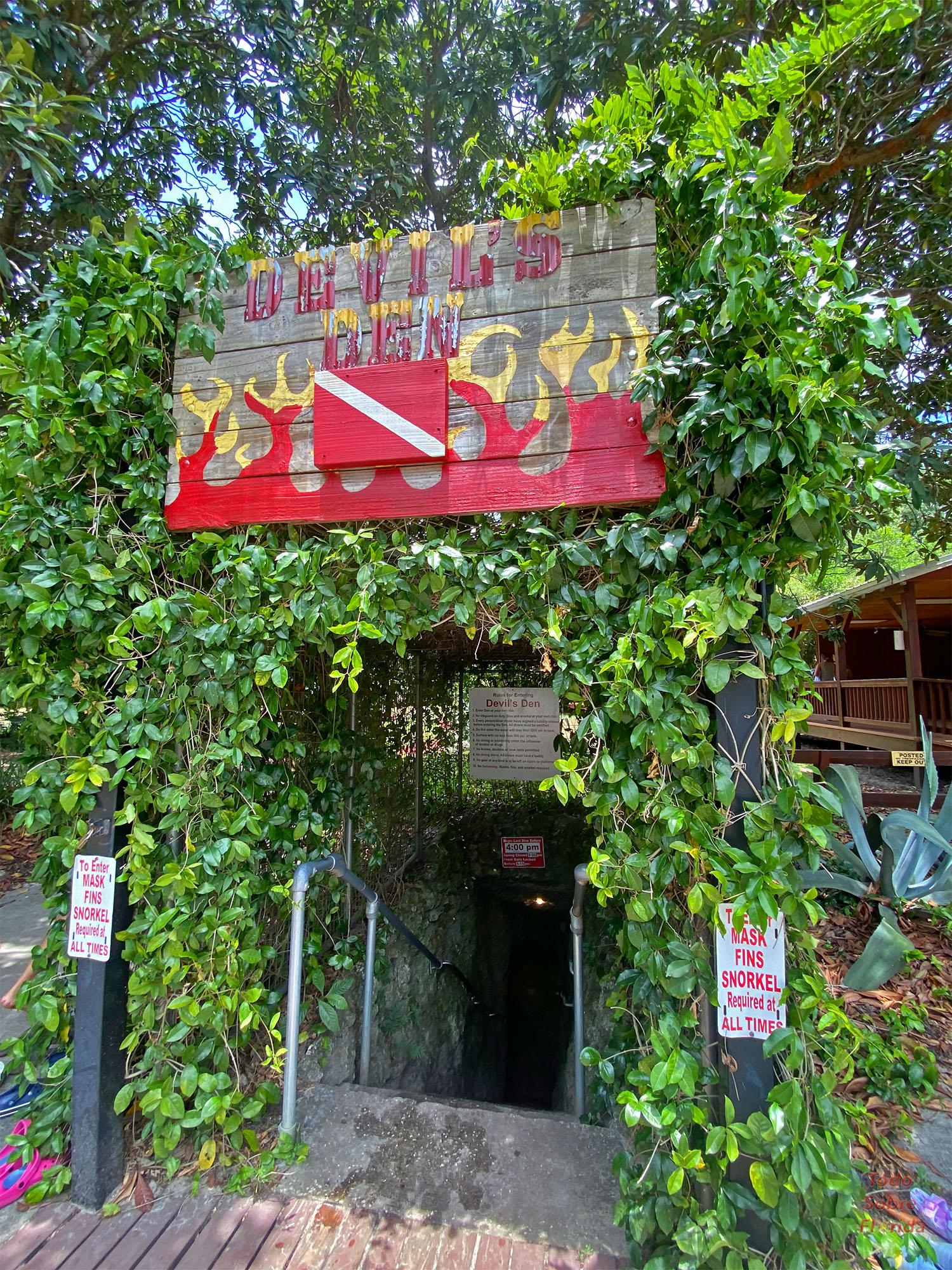 Complete Guide for a Day at Devil's Den Prehistoric Spring