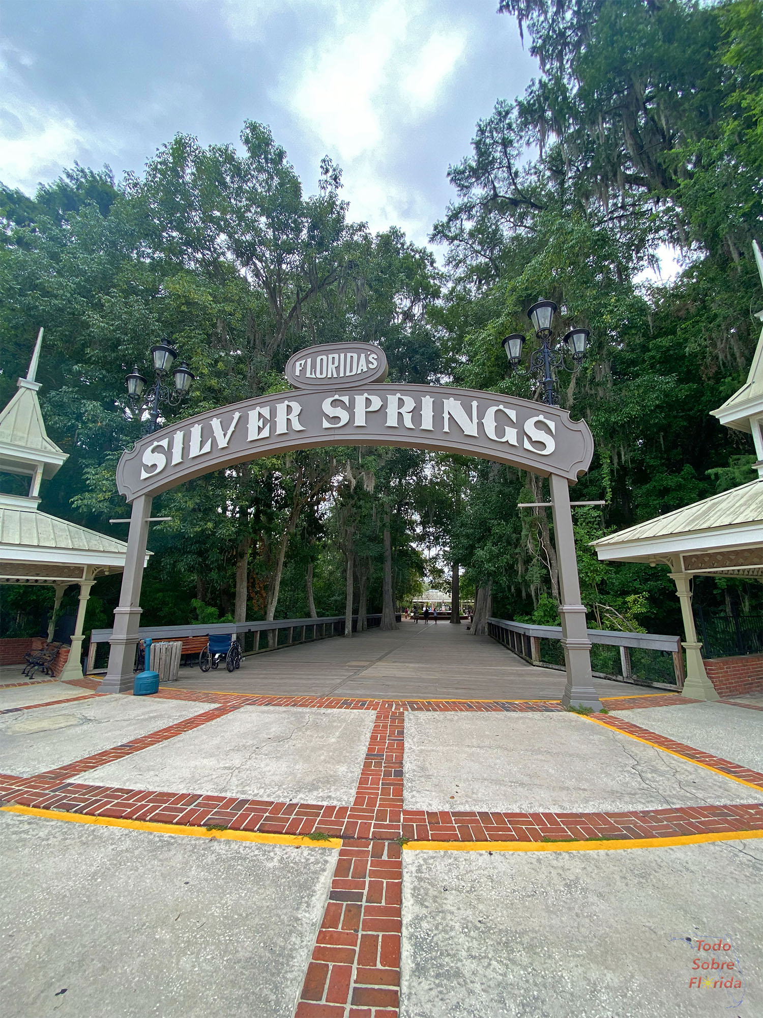 Getting to know Florida's oldest attraction: Silver Springs