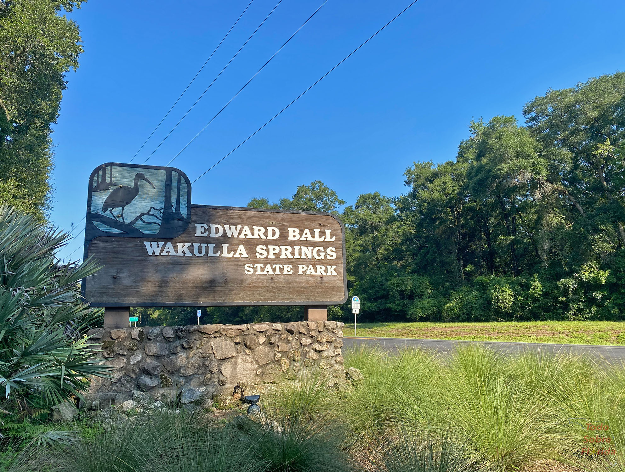 An Incredible Natural Getaway in Florida: Wakulla Springs State Park
