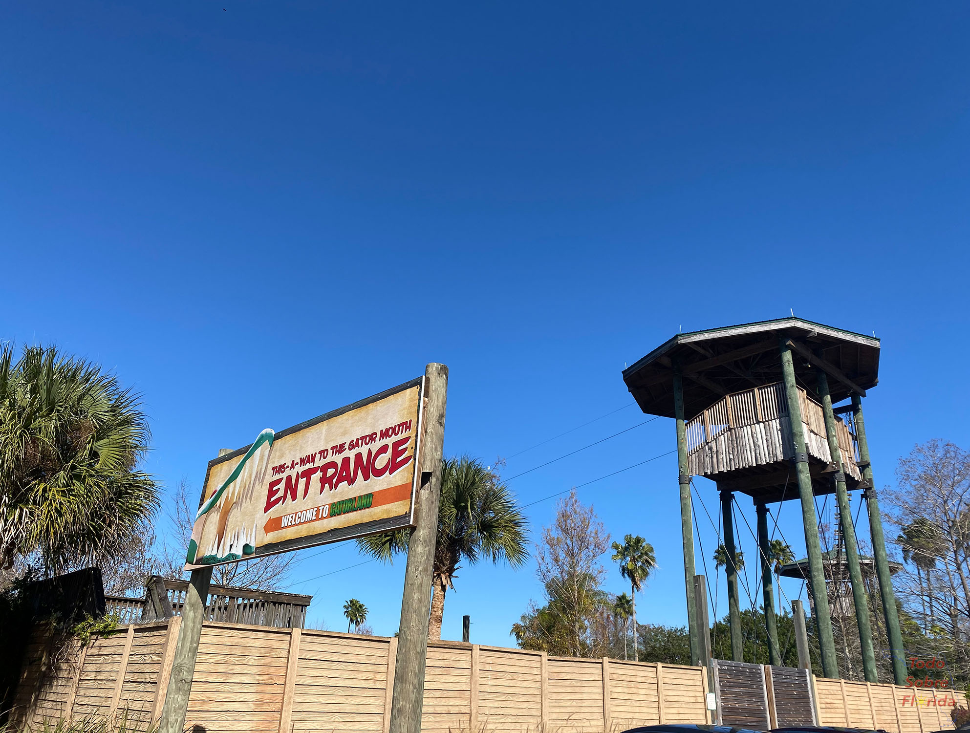 Una Aventura en Gatorland