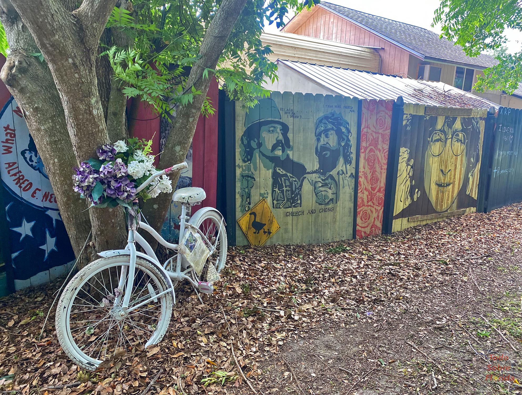 Exploring the Seminole Wekiva Trail: An Outdoor Adventure in Florida