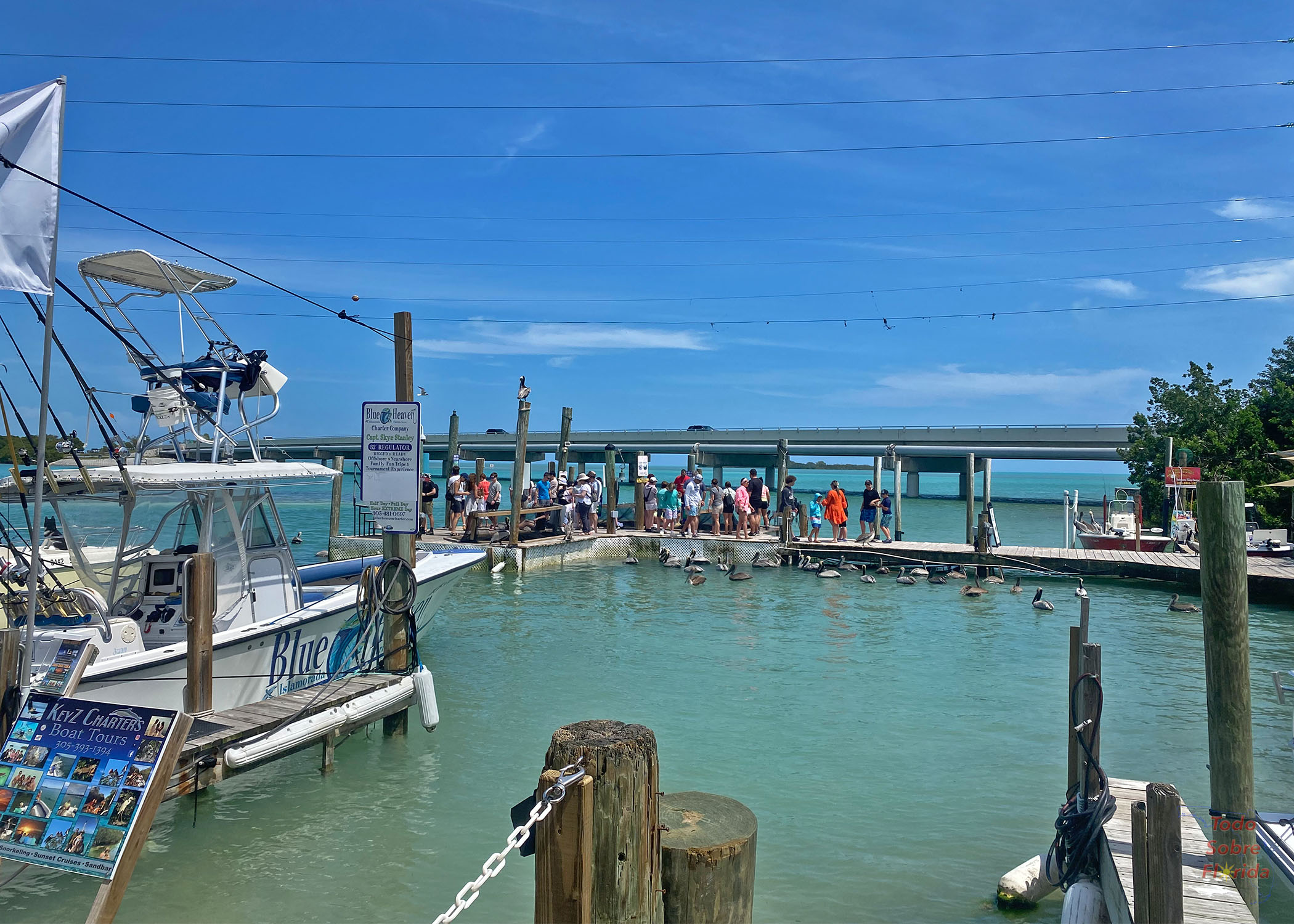 Robbie’s of Islamorada: a must-visit experience in the Keys